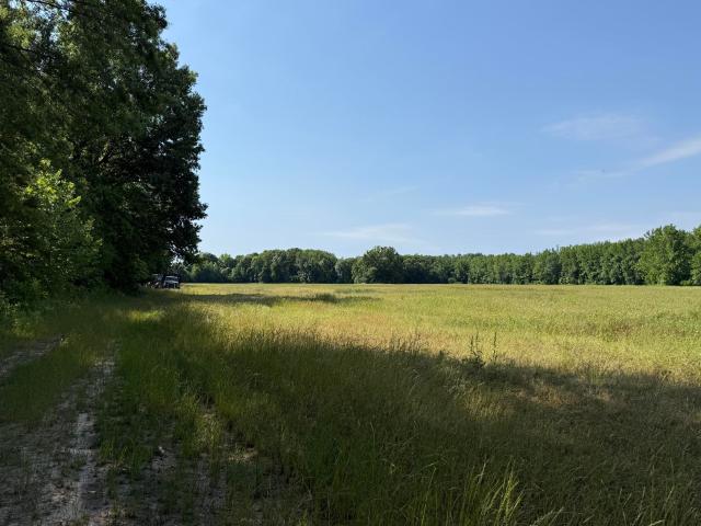 1 carter rd