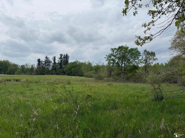 1 Clark & Burt Road
