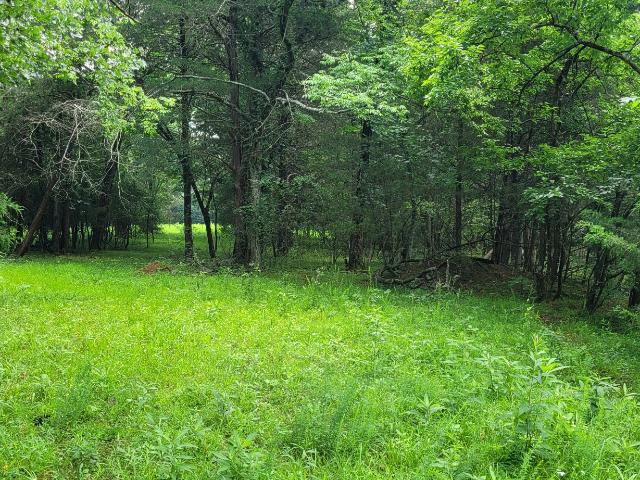 1 Clem Creek Rd