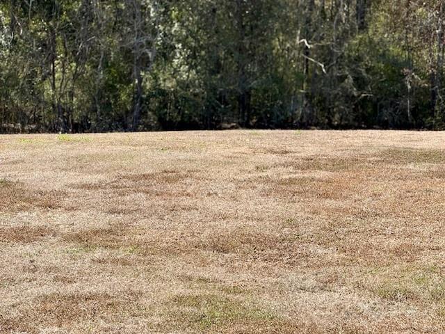 1 Clifford Ct, Waggaman, LA 70094 | MLS #2541