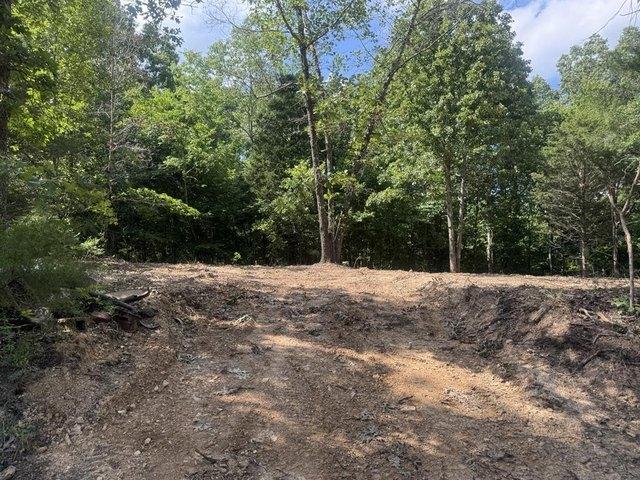 1 Commissary Ridge Rd, Indian Mound, TN 37079