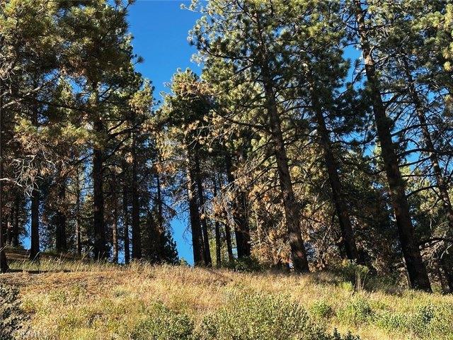 1 Conway Dr, Running Springs, CA 92382