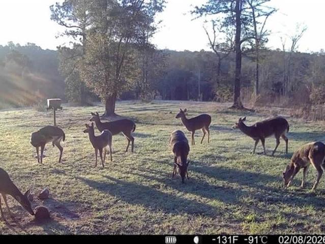 1 Corbin Rd, Newton, AL 36352