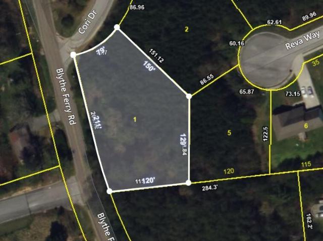 1 Cori Dr, Dayton, TN 37321 | MLS #3178