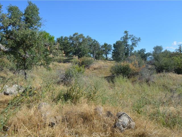 1 Corral Dr