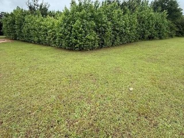 1 Cottrell Way, Autaugaville, AL 36003