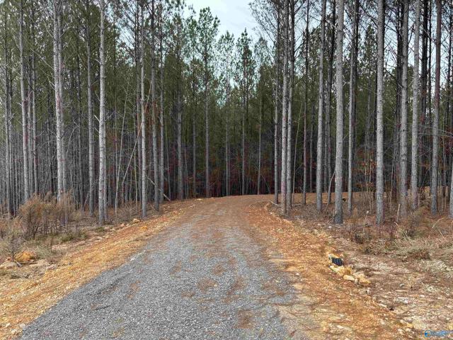 1 County Road 155