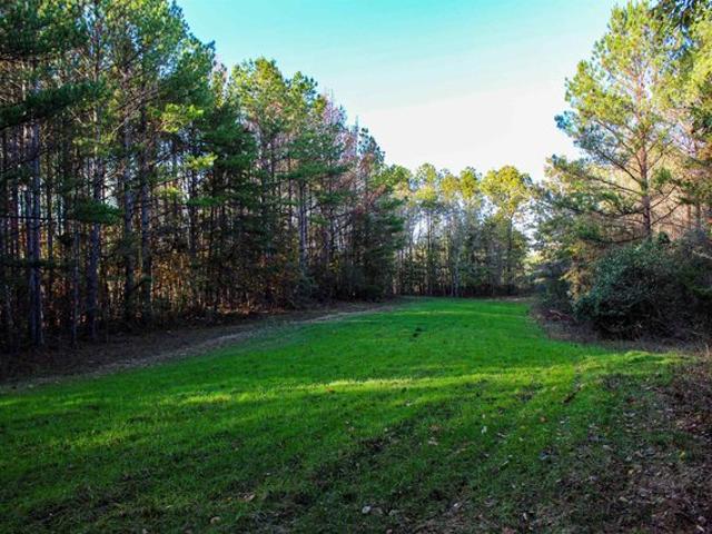 1 County Road 1 Lot 1, Lynn, AL 35575