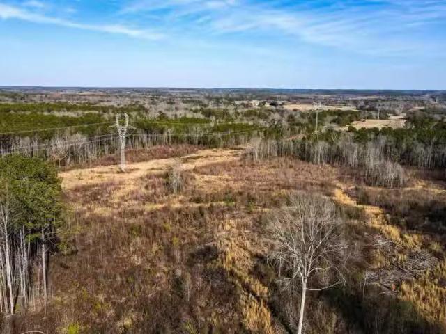 1 COUNTY ROAD 26 # 1, BANKSTON, AL 35542 Vacant Land For Sale.