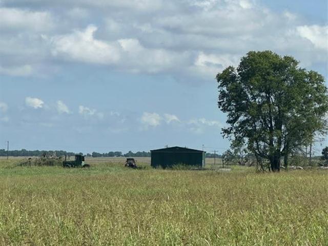 1 County Road 3430, Honey Grove, TX 75446 | MLS #20980