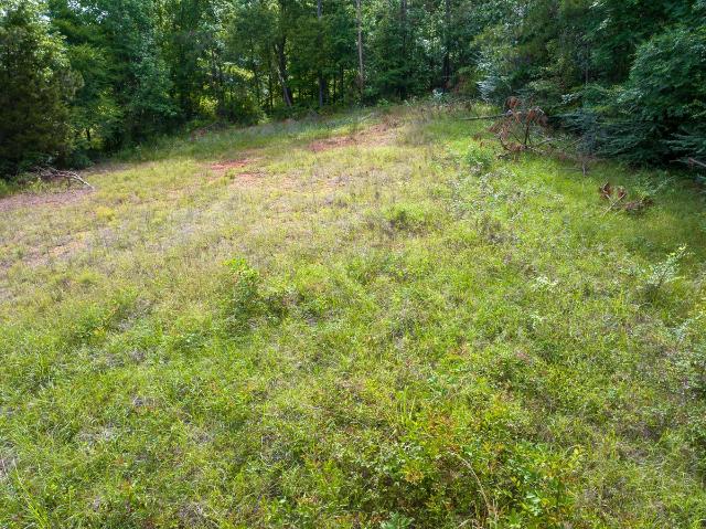 1 County Road 364 South