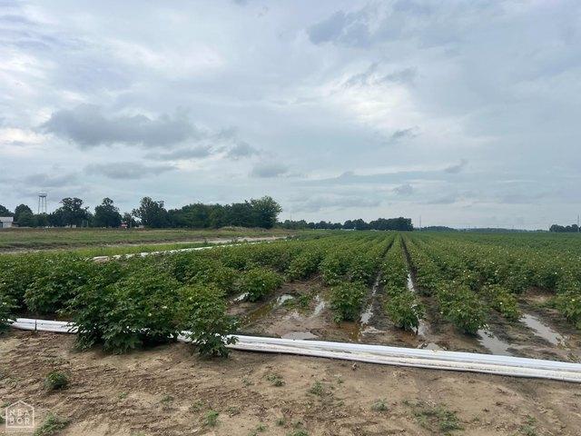 1 County Road 312, McDougal, AR 72441