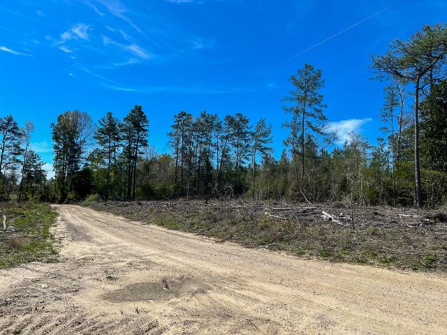 1 County Road 443