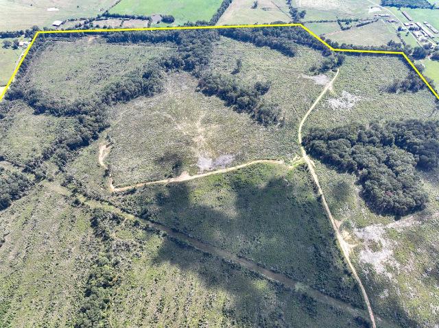1 County Road 4916
