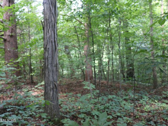1 County Road 892
