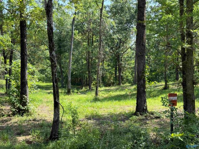 1 County Road 819