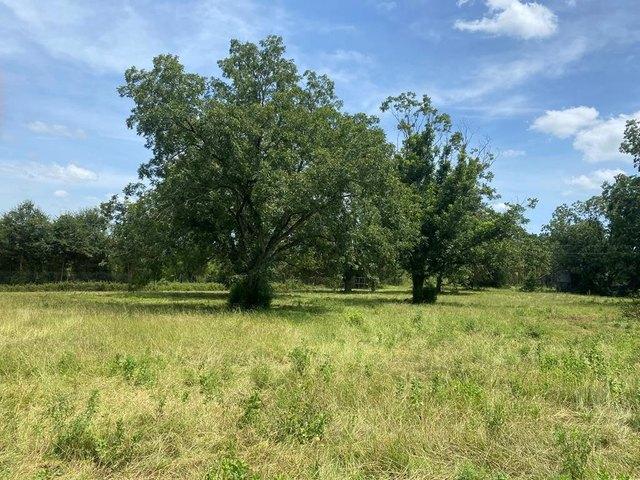 1 County Road 91, Banks, AL 36005