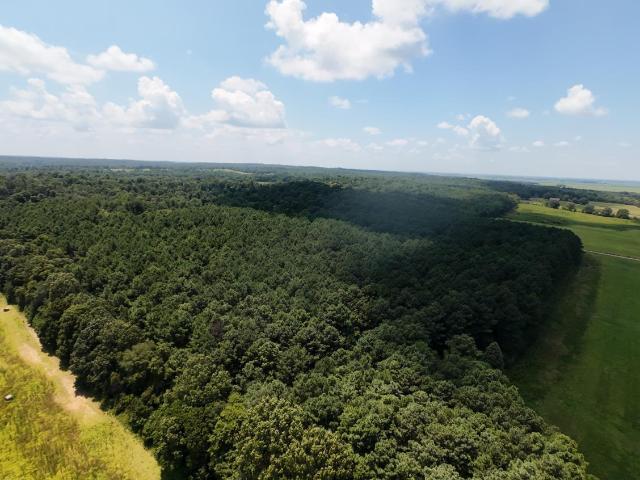 1 Cr 331 Hwy 62