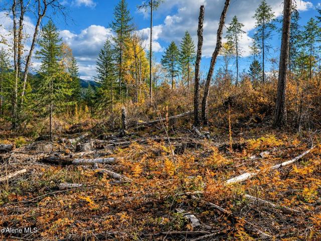 1 Crosswhite Rd, Careywood, ID 83809 | MLS #26 1821 | Compass