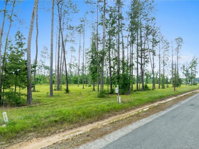 1 Duke Hollingsworth Rd, Ragley, LA 70657 | MLS #SWL25003 | Compass