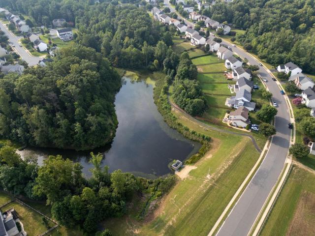 1 Dabney Court
