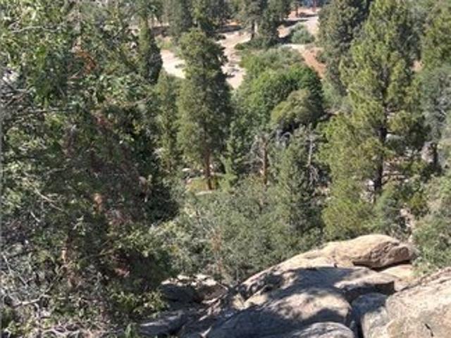 1 Deer Lick Dr, Arrowbear Lake, CA 92382