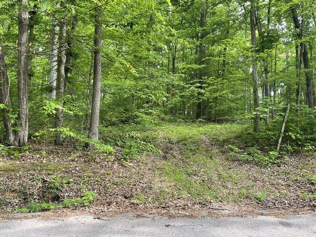 1 Doug Thompson Rd, Franklin, TN 37064