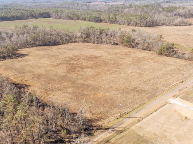 1 dr williams rd