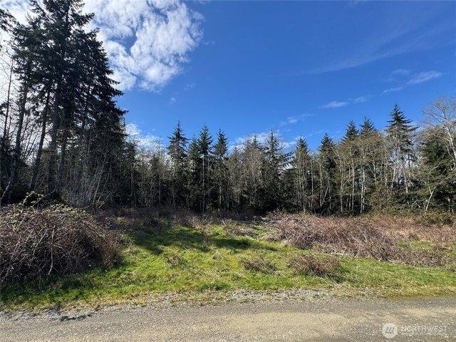 1 E Case View Lot Govt Pl Lot 1, Shelton, WA 98584