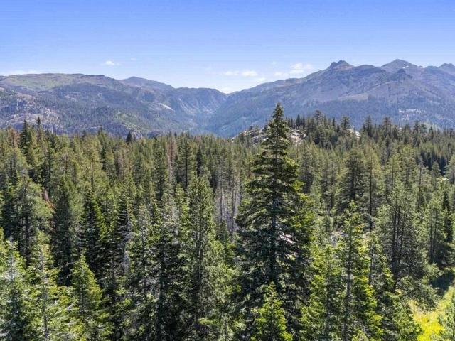 1 Eagle Meadow