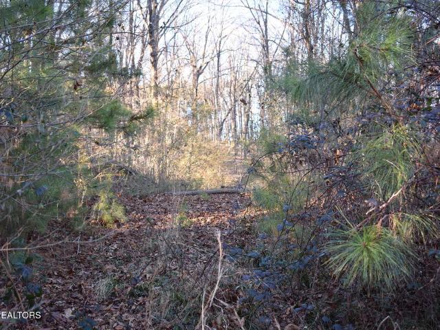 1 Eldridge Lane