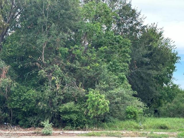 1 Fuqua St, Houston, TX 77075 | MLS #26160