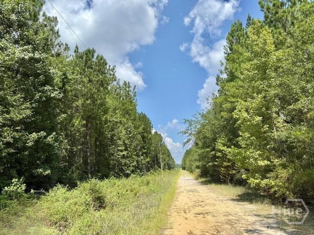 1 Firetower Road
