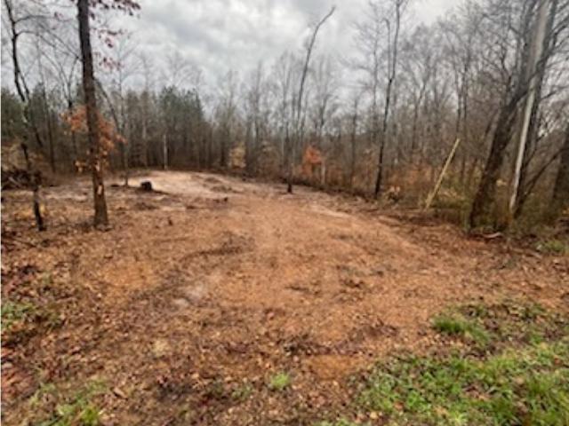 1 Forest Trl