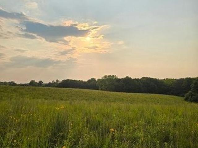 1 Fox Rd, Purdin, MO 64674