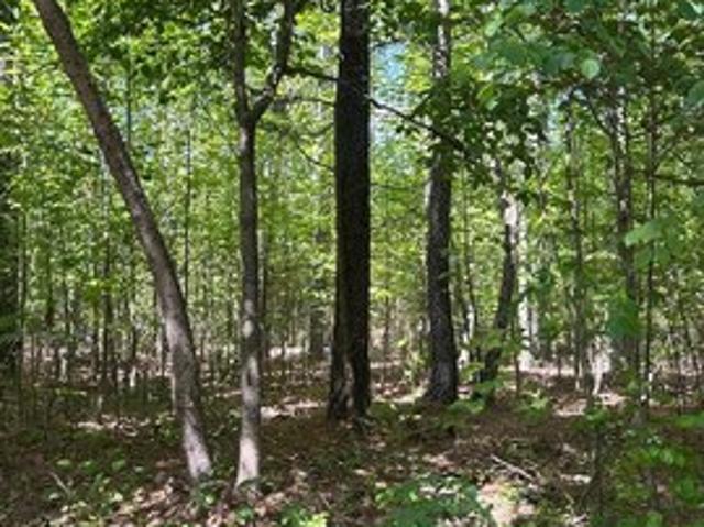 1 Foxfire Ln, Bedford, VA 24523