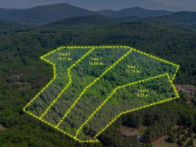 1 Foxfire Ln, Bedford, VA 24523