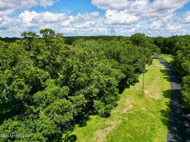 1 Gumpond Beall Rd, Lumberton, MS 39455 | MLS #4121