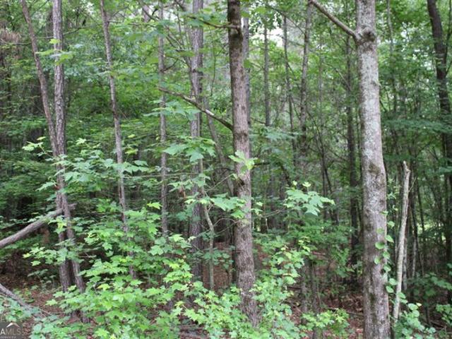 1 Garnett Ward Rd, Hull, GA 30646