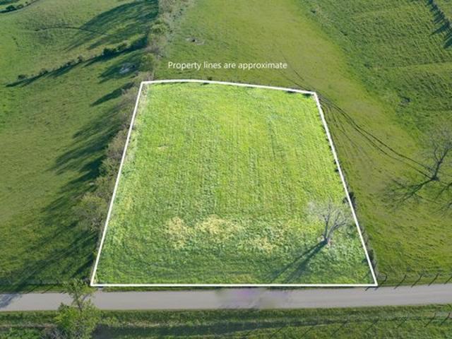 1 Gillispie Rd, Paris, KY 40361