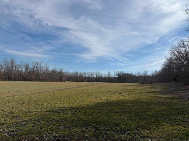 1 Glen Harris Rd, Adamsville, TN 38310 | MLS #10214