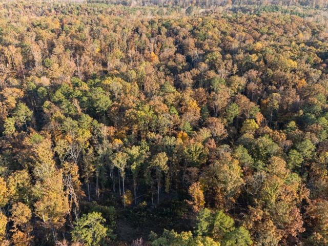 1 Gooch Store Rd, Hornsby, TN 38044 | MLS #3182 | Compass