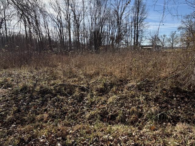 1 Grant Dr, Clarksville, TN 37043 | MLS #3112