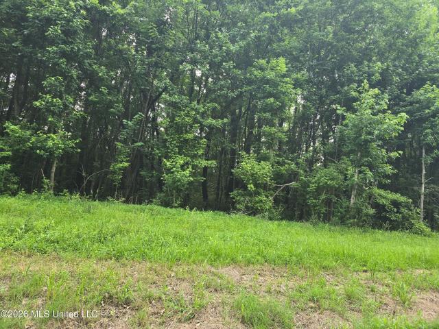 1 Gravel Springs Road, Senatobia, MS 38668