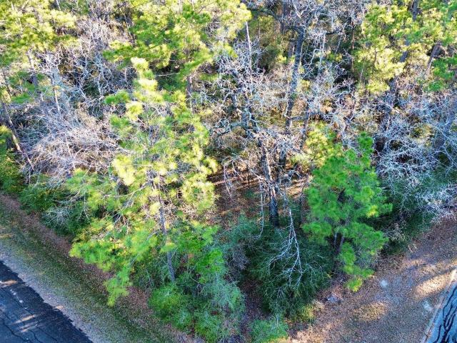 1 Huntsville Tx 77320, Oakhurst, TX 77359 | MLS #44568