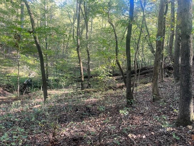 1 Hwy 136 West Talking Rock, GA 30175 | MLS #7802