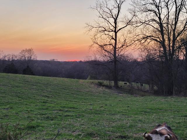 1 Haley Ln, College Grove, TN 37046 | MLS #3155 | Compass