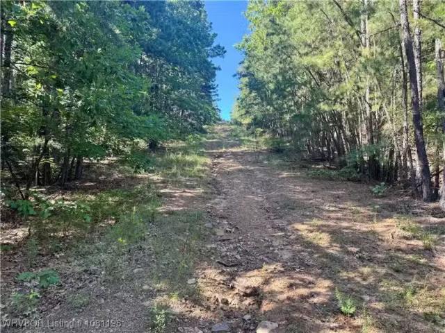 1 HAMILTON HILL RD, BOONEVILLE, AR 72927