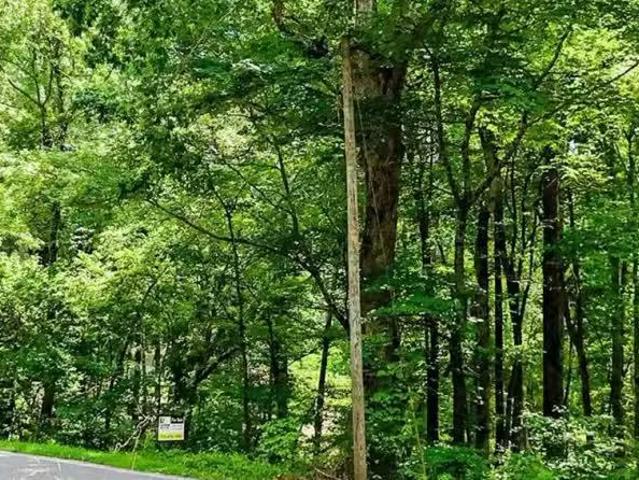 1 Henderson Mountain Rd, Jasper, GA 30143 MLS 7605324