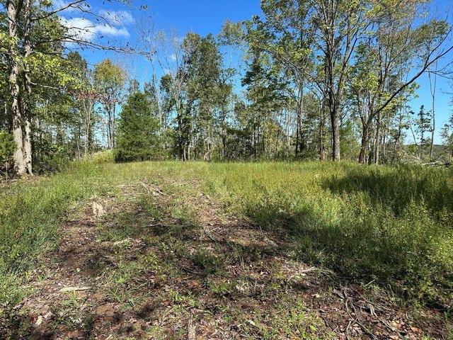 1 Highway 230 W, Only, TN 37140
